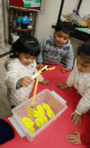 About Us - Learning Seeds